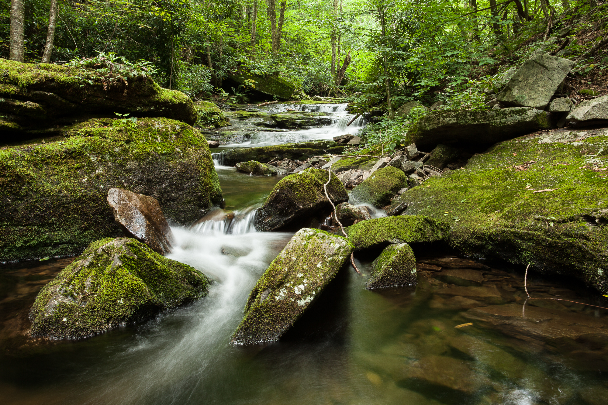 Pennsylvania Conservatives Continue Assault on Wild Trout and ... Pennsylvania Conservatives Continue Assault on Wild Trout and ...