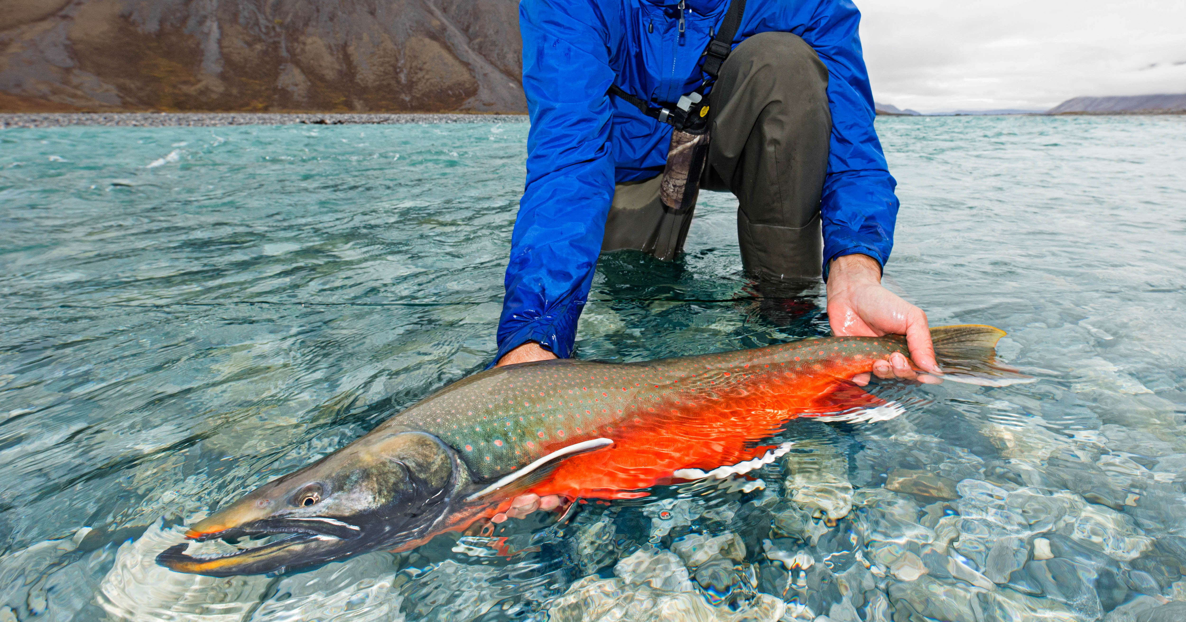 Anglers to Trump: You're fired! | Hatch Magazine - Fly Fishing, etc.