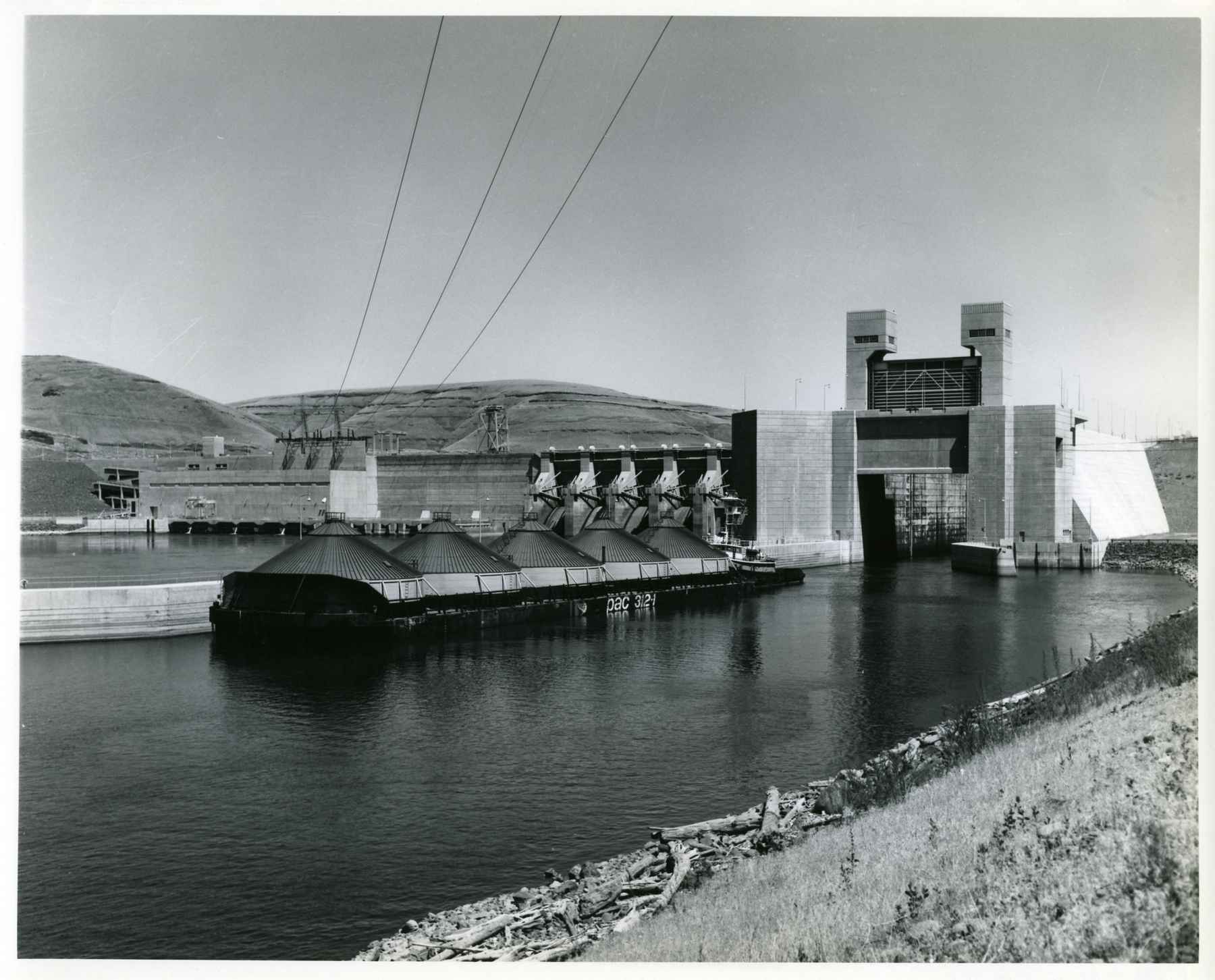 Will no one fight for Snake River steelhead and salmon? | Hatch ...