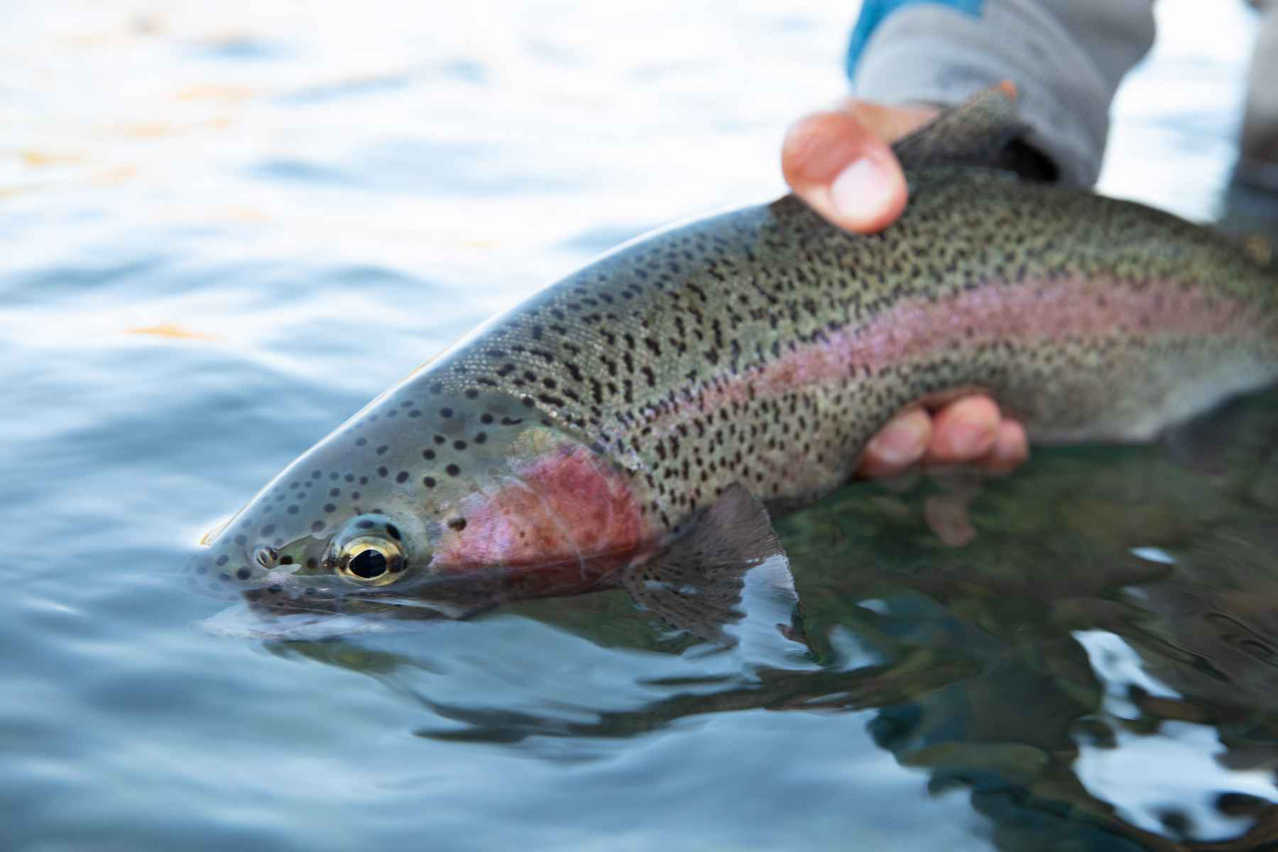 Hotspotting: To share or not to share? | Hatch Magazine - Fly Fishing, etc.